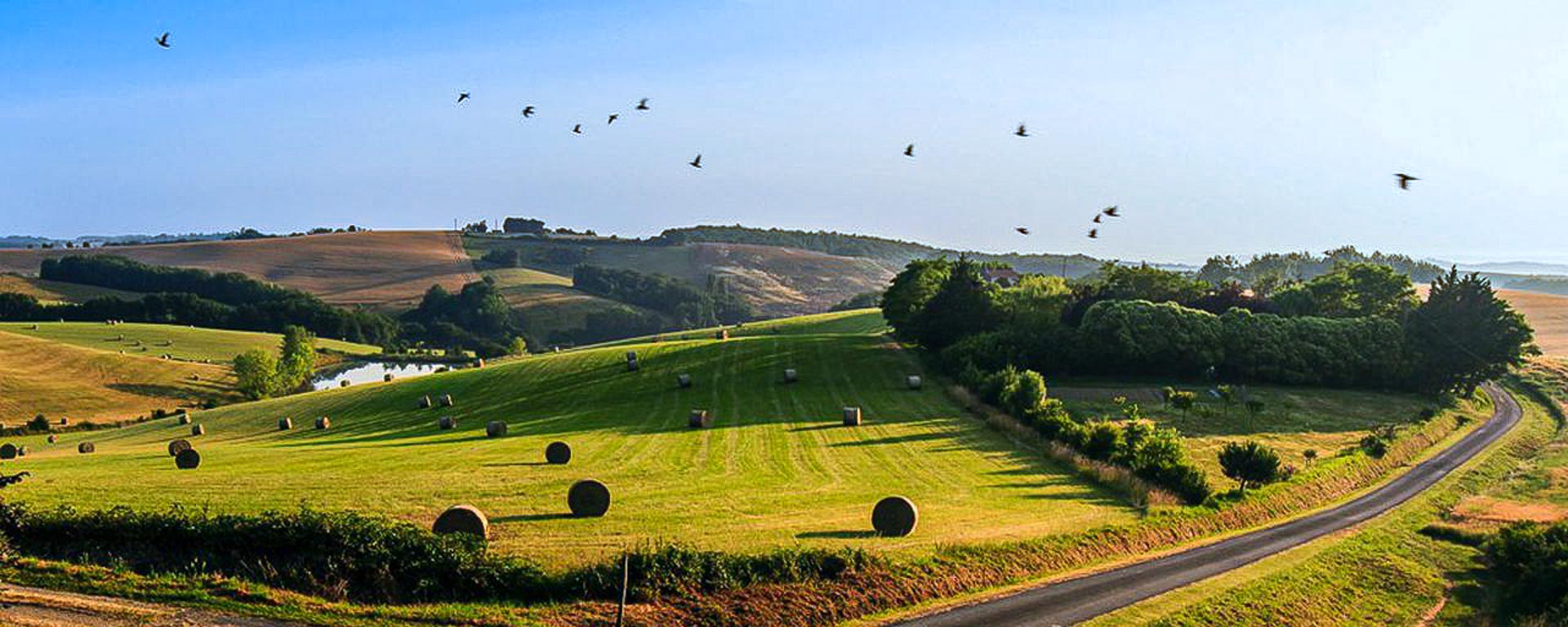 Artisan RGE 32 - Installateur panneaux solaires Auch